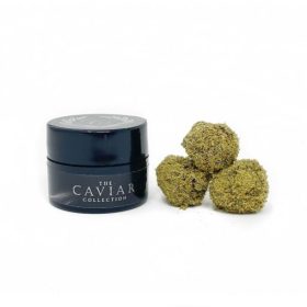 Shop Kaws Rocks | The official Kaws Shop